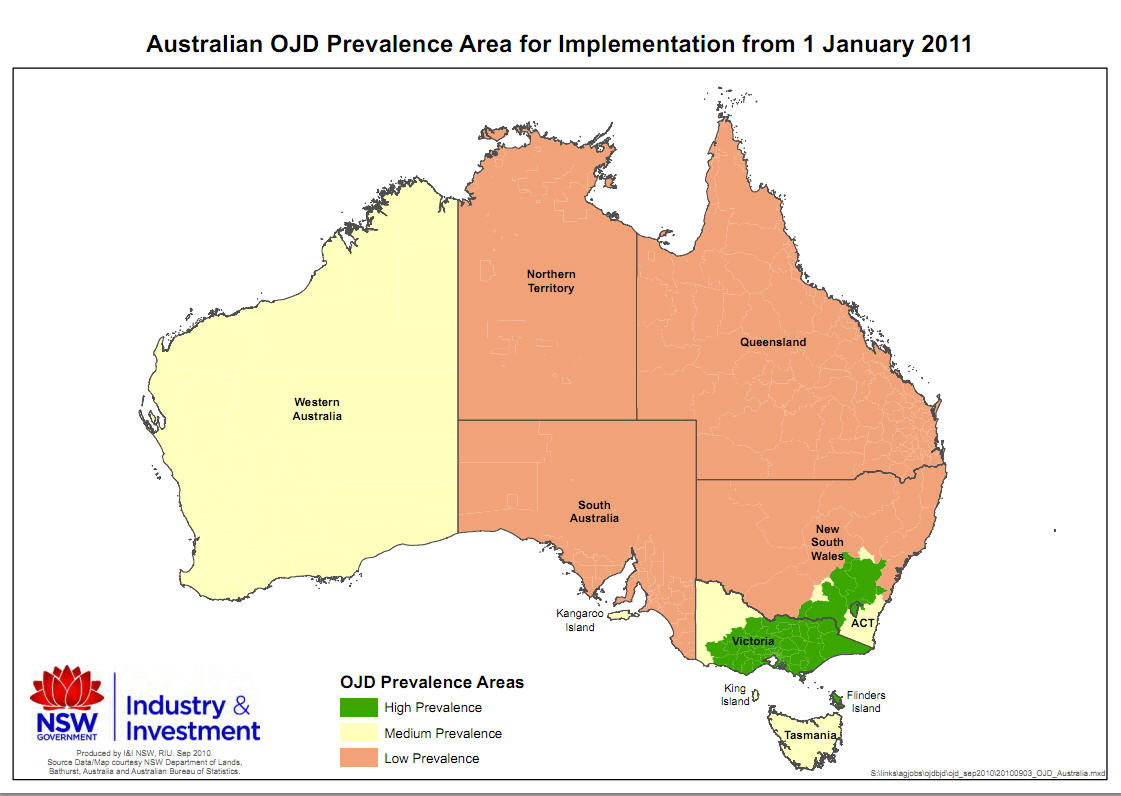Claremont White Dorpers Blog: Ovine Johnes Disease (OJD)