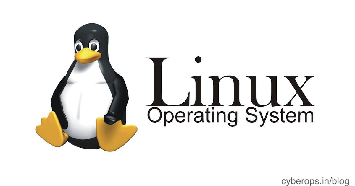 Tech Beehive: Introduction of Linux Operating System