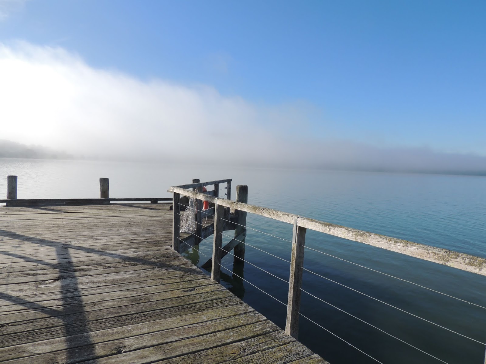 THE ROAD TAKEN : Pahi Beach Holiday Park on Kaipara Harbor