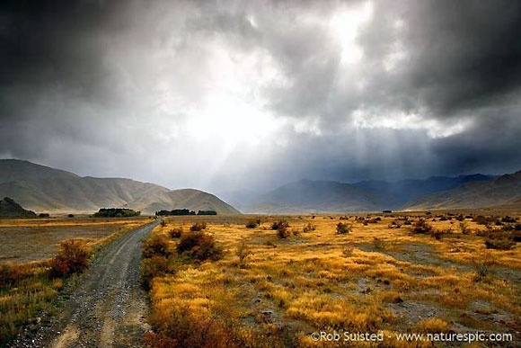 The Beret Project: Harry Broad