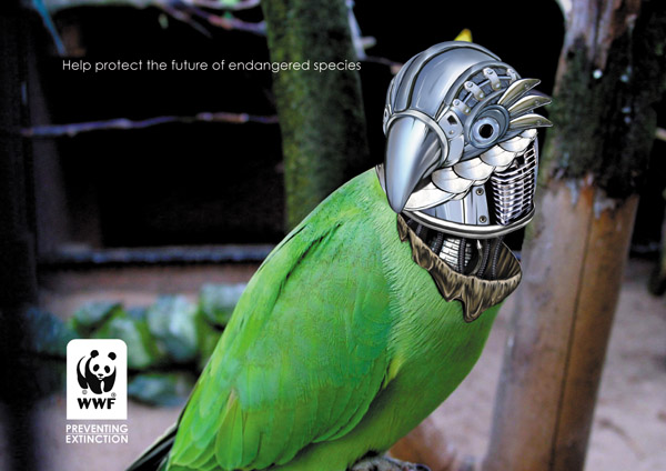 Kiwi's Angels: WWF Advertising with Parrots
