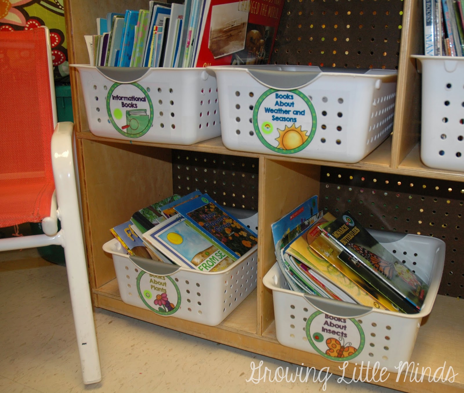 Growing Little Minds: Classroom Reveal 2014!