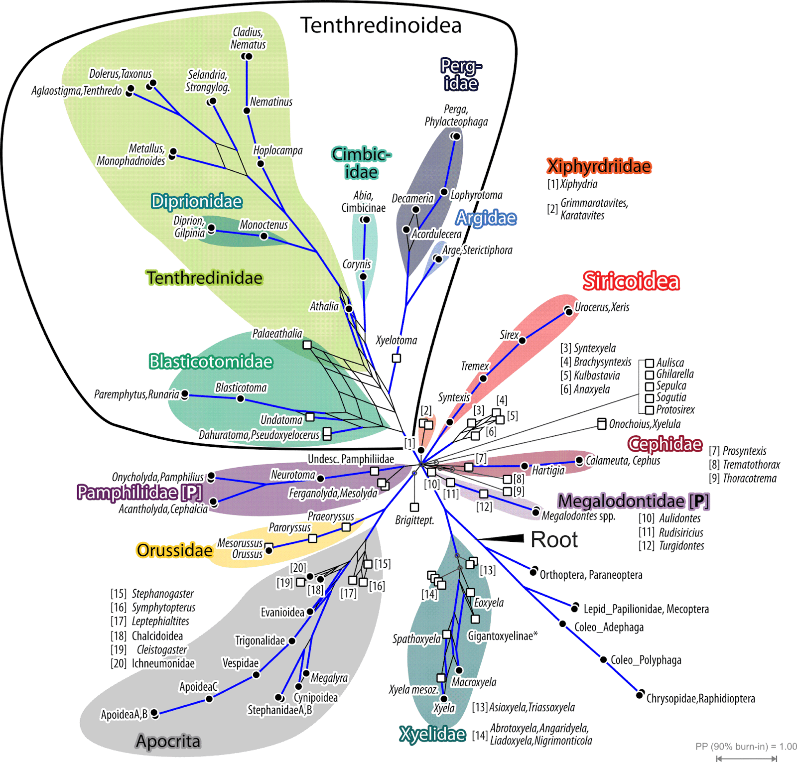 The Genealogical World of Phylogenetic Networks: Summarizing non ...
