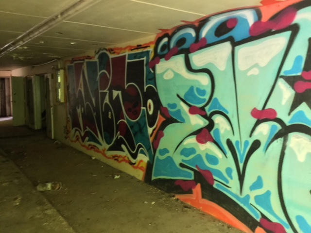 Mosley Motel Extended Stay & Conference Room - Sheednomics