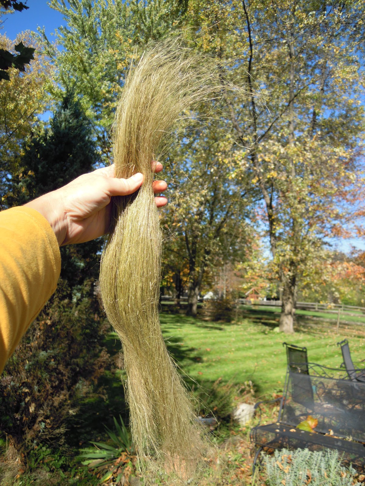 The Inconsequential Blogger: Flax to linen experiment - breaking ...