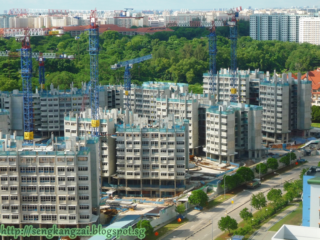 Zai@Sengkang: Fernvale Riverbow (Yr 13 Wk 28)