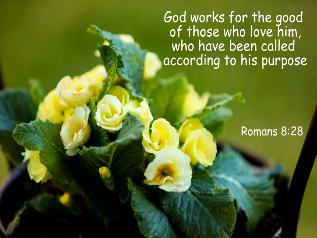 God works for the good of those who love Him