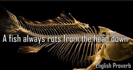 Cedric Poole Aesthetics: Reformation 500 years: A Fish Rots from the Head