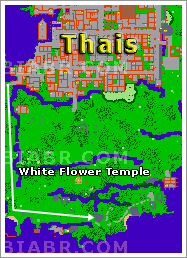 Tibia TTs: Tutorial Cyclops - Sul de Thais