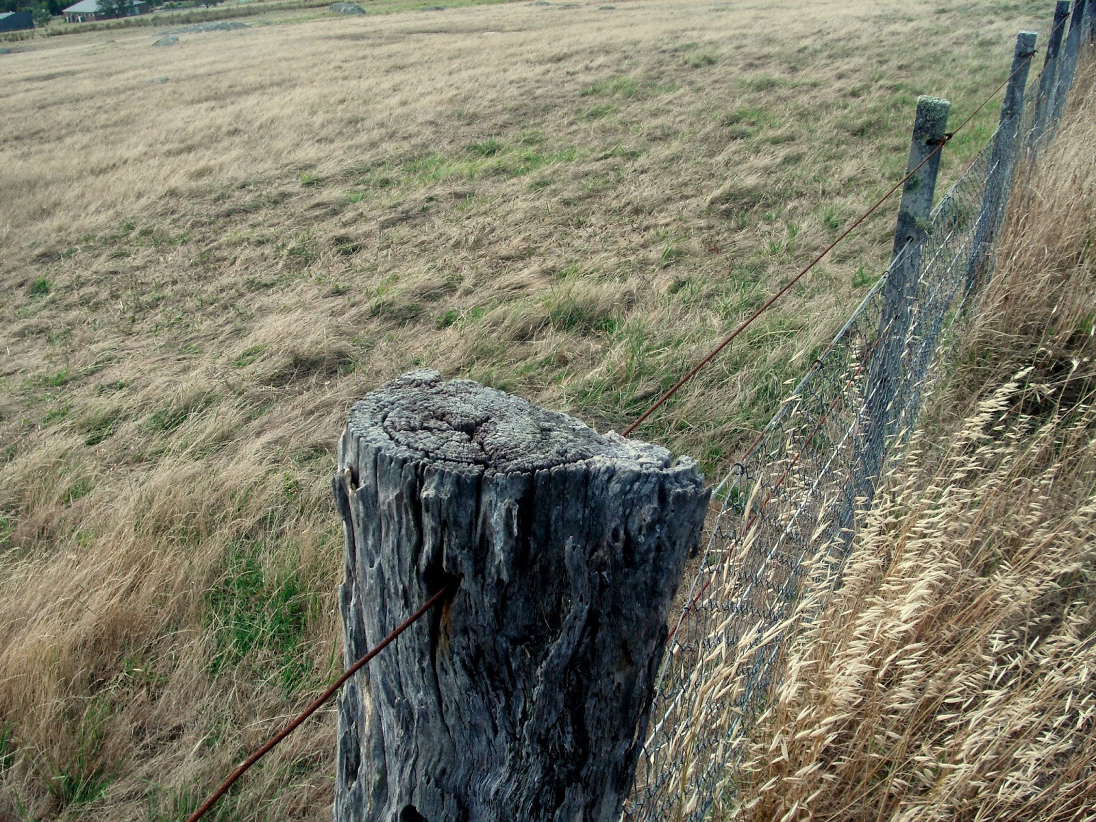 Geelong Visual Diary: Dog Rocks Batesford