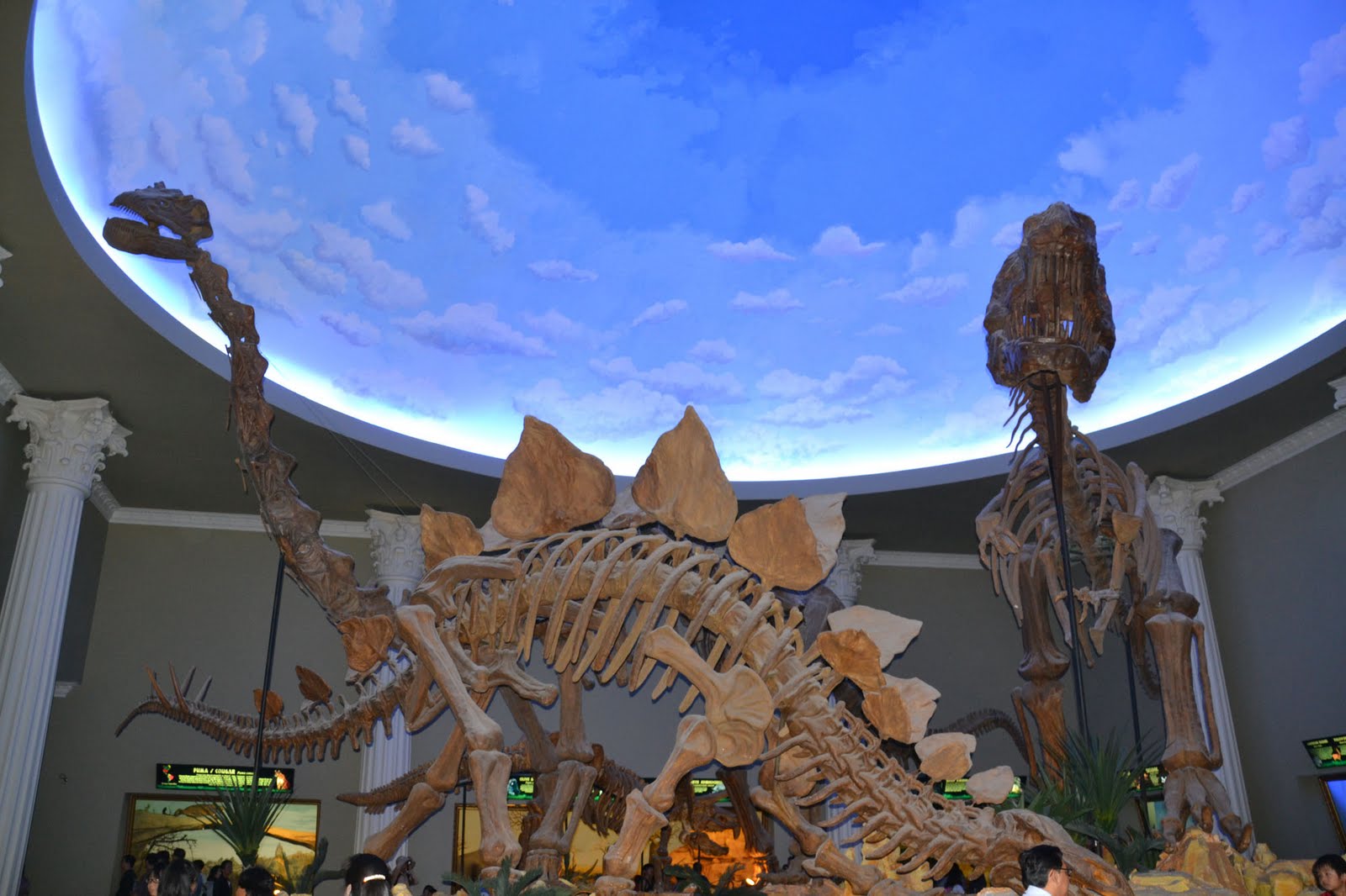 Smoochiloll*iKe: Museum Satwa @ Jatim Park 2 (4)