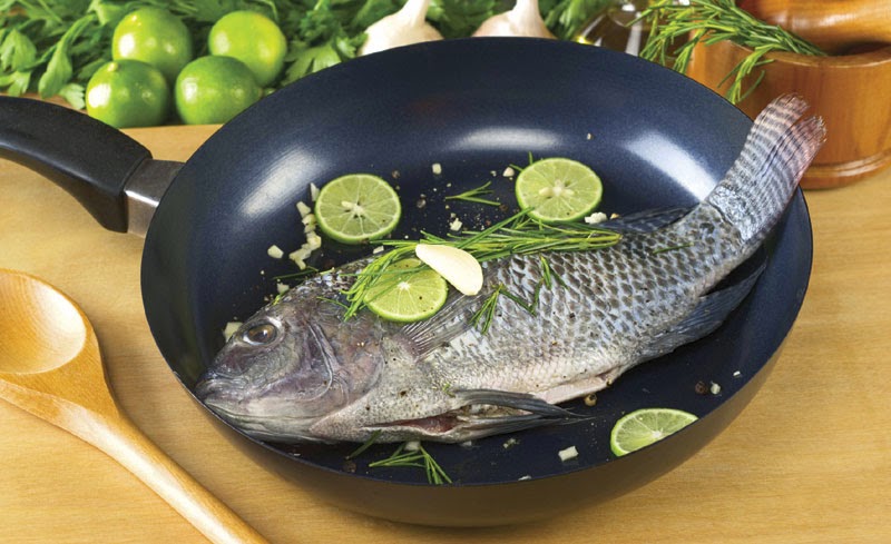 Tajne Hrono Ishrane: Mozak u kondiciji - Riba na jelovniku