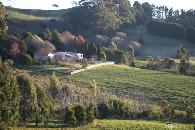 Lilyfield Life: A Country Weekend - Burrawang