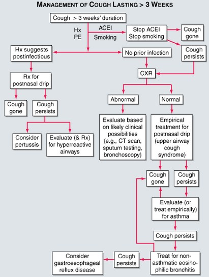 sikkahoder: Cough and Hemoptysis : Etiology ,Treatment and Mechanism
