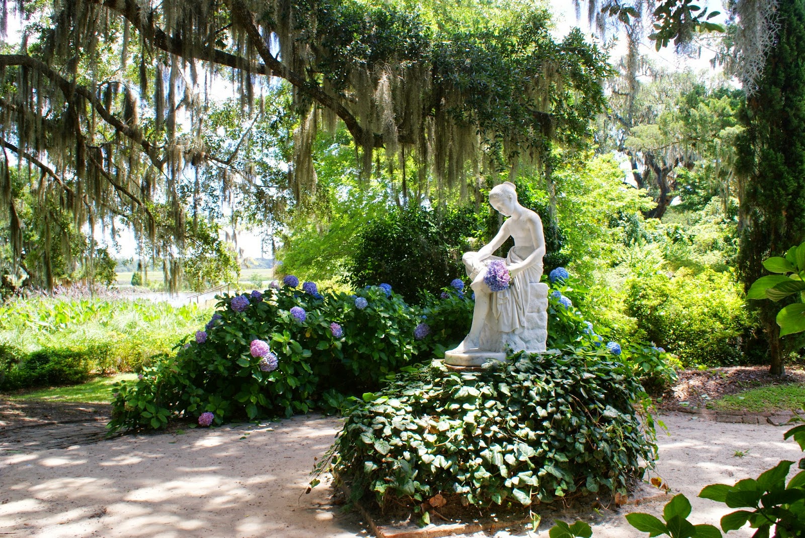 A Little Loveliness: Explore Middleton Place
