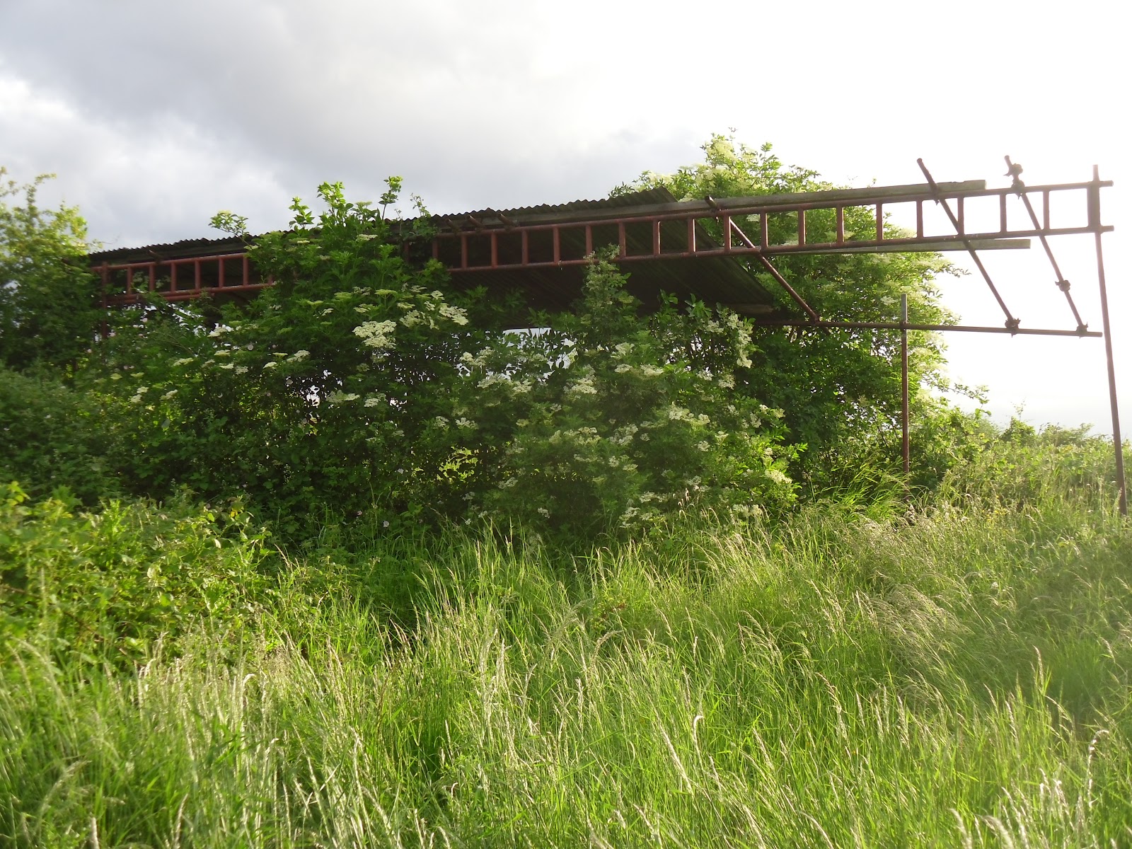 The Cold End: THE HISTORY OF FOOTBALL IN CHINGFORD - CHINGFORD FC v ...