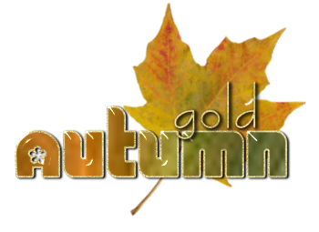 BonnieMac's PSP Tubes and Scrapkits: Fall Word Art