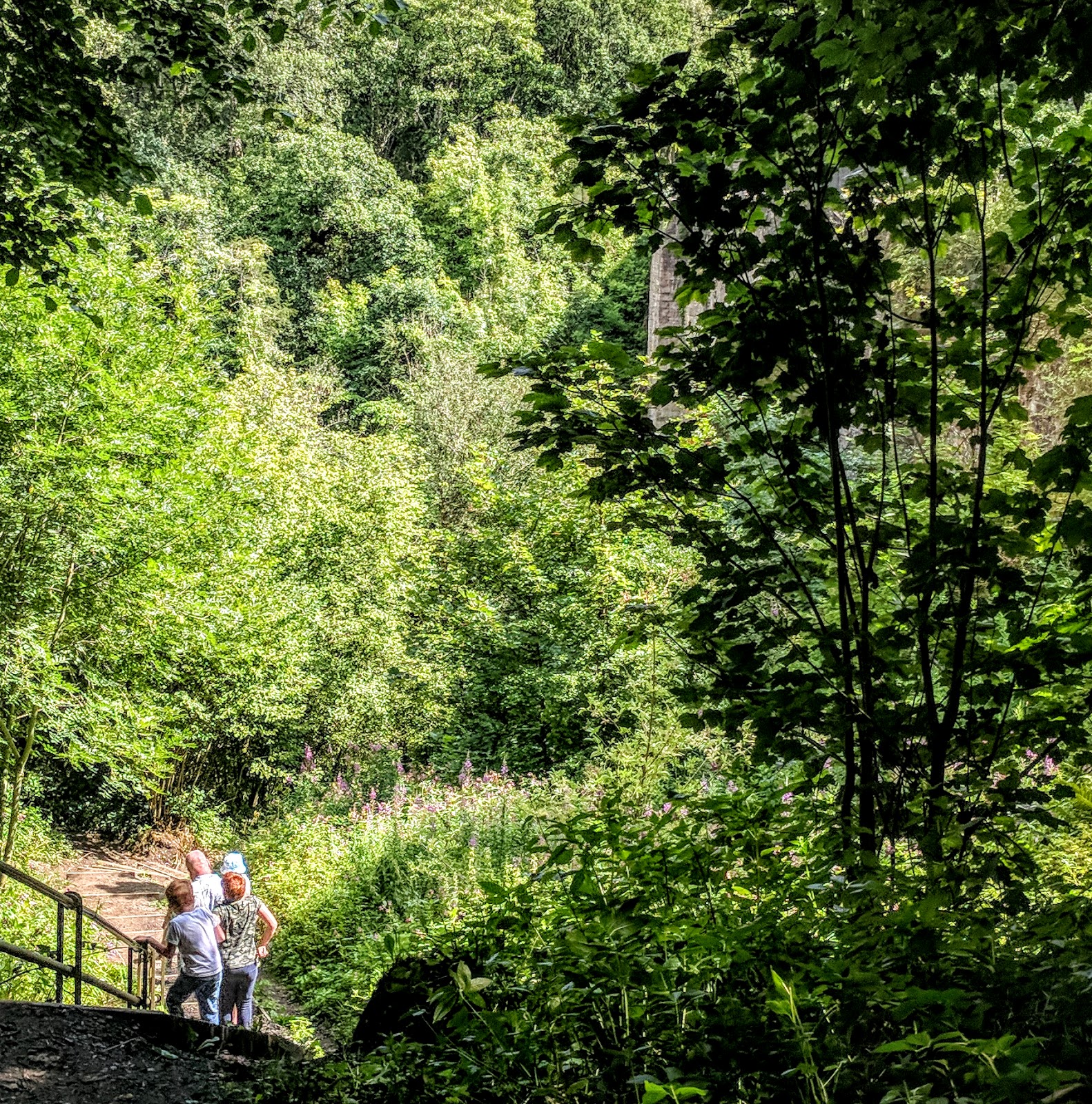 Tanfield Railway | Britain's Oldest Railway & a Picnic at Causey Arch ...
