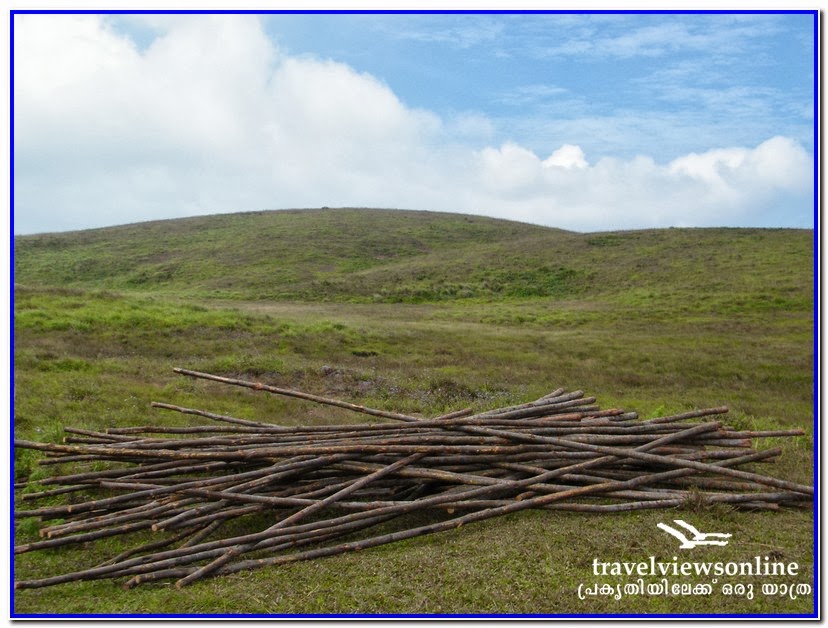 പ്രകൃതിയിലേക്ക് ഒരു യാത്ര (a travel towards NATURE): PULLUMEDU a unique ...