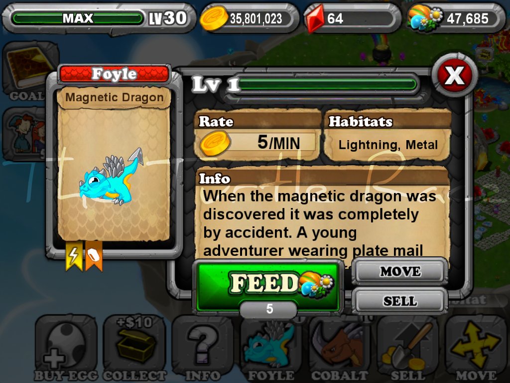 Dragonvale Magnetic Dragon | The Turtle Race