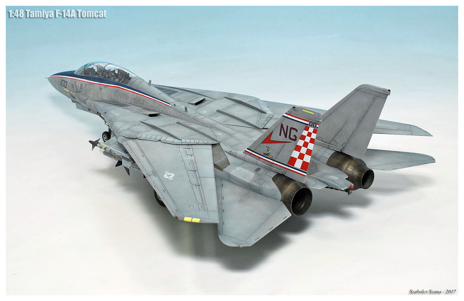 Wings of Glory: 1/48 Tamiya F-14A Tomcat