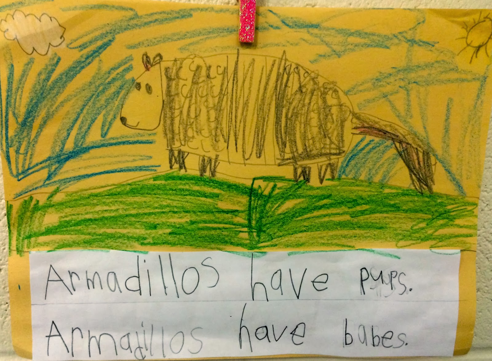 Splendor in Kinder: Armadillo Writing/Armadilly Chili Graphing