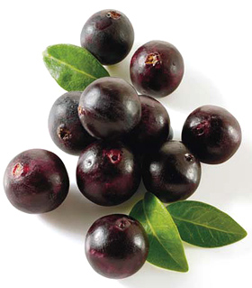 Acai Berry untuk Kesehatan Tubuh ~ Sekilas Info