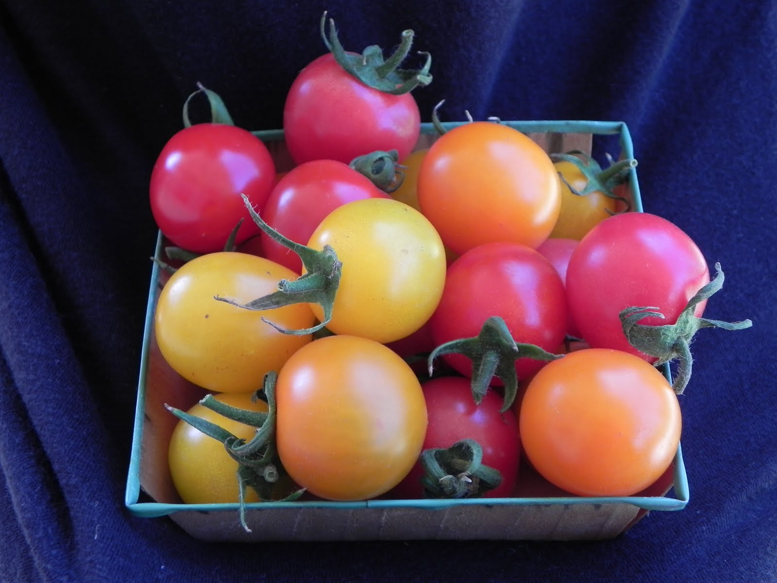 The State of the Farm - Babies and Other Fruit