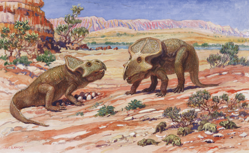 IMAGE(I)NARTE: el arte de la imaginación: CHARLES R. KNIGHT ...