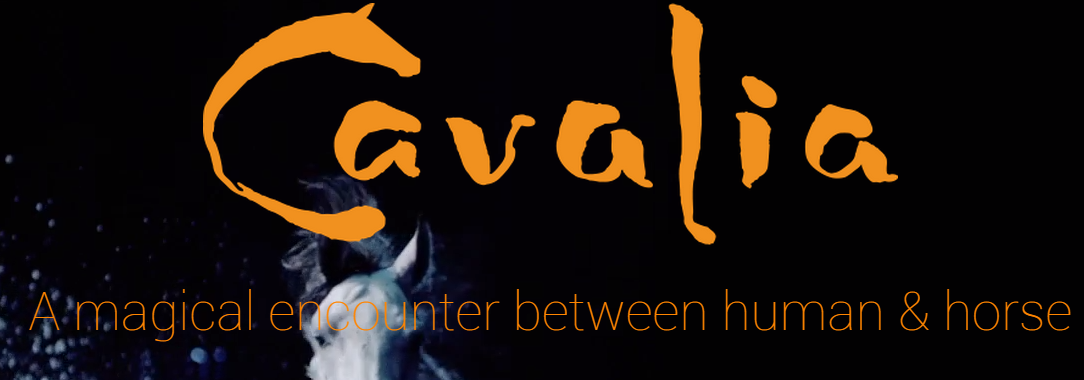 THE MAD SCENEopera, musicals, classical music in Singapore: Cavalia Run ...