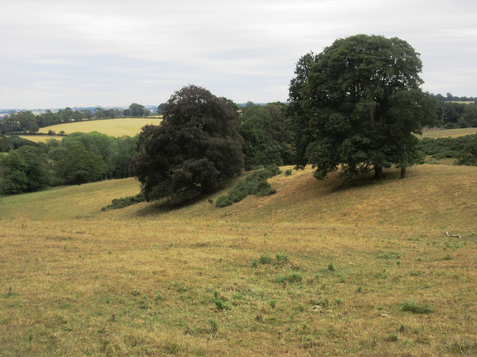 Liberal England: Gumley: Historic and a little mysterious