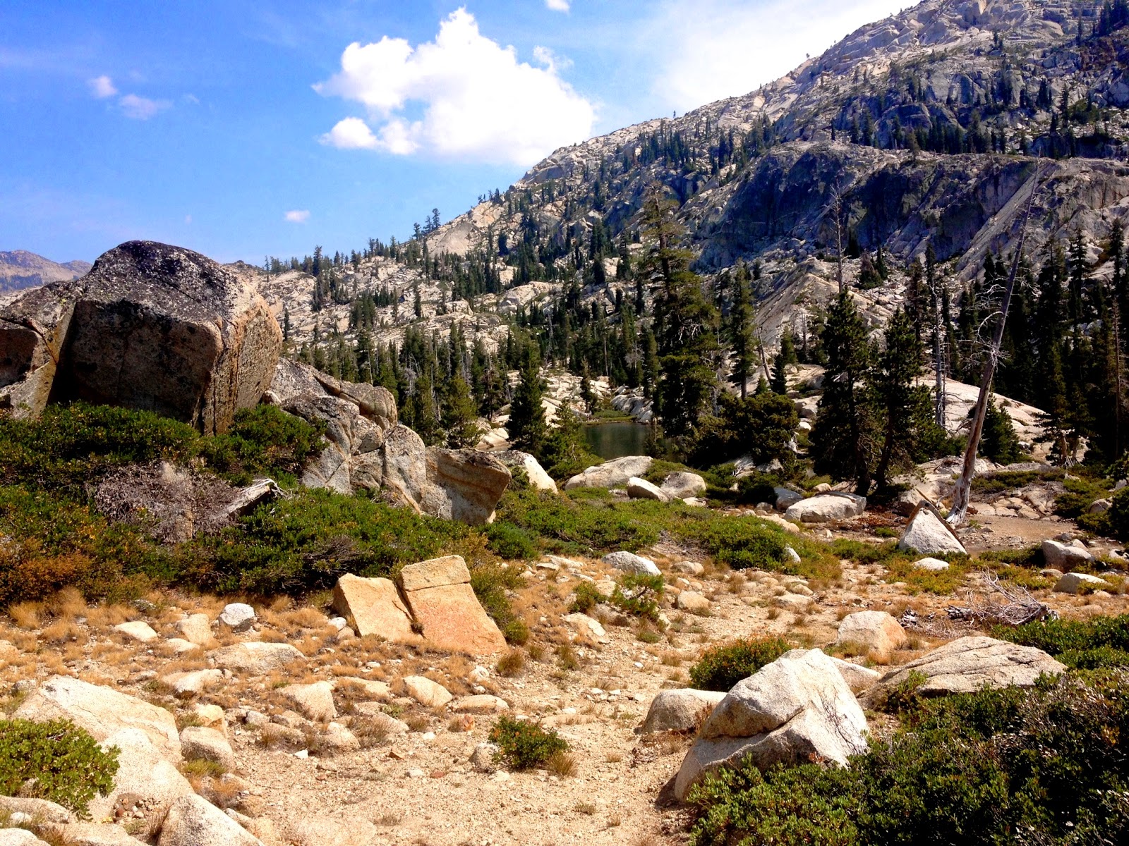 Peachy Hiker: McConnell Lake Loop ~ Primitive Trail ~ in Desolation ...