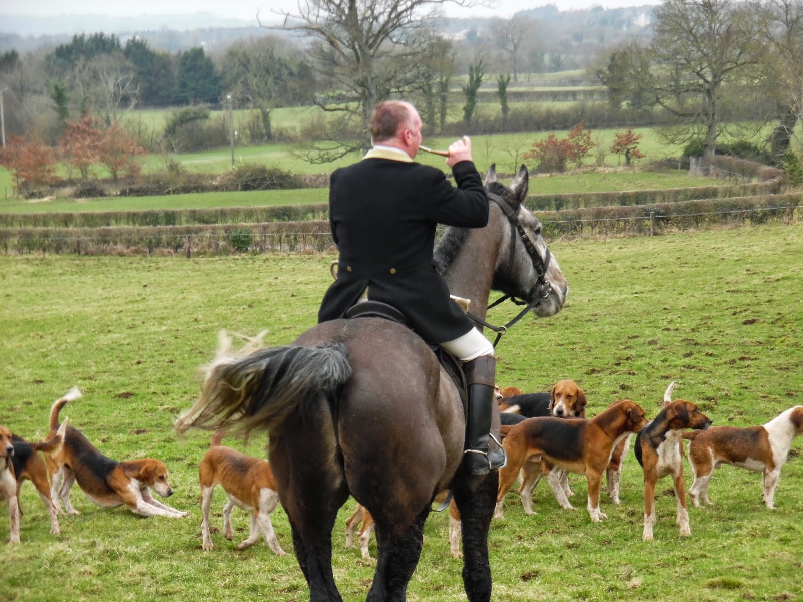 Dragon's Lair Farm - a horse farm: My latest Irish foxhunting trip.......