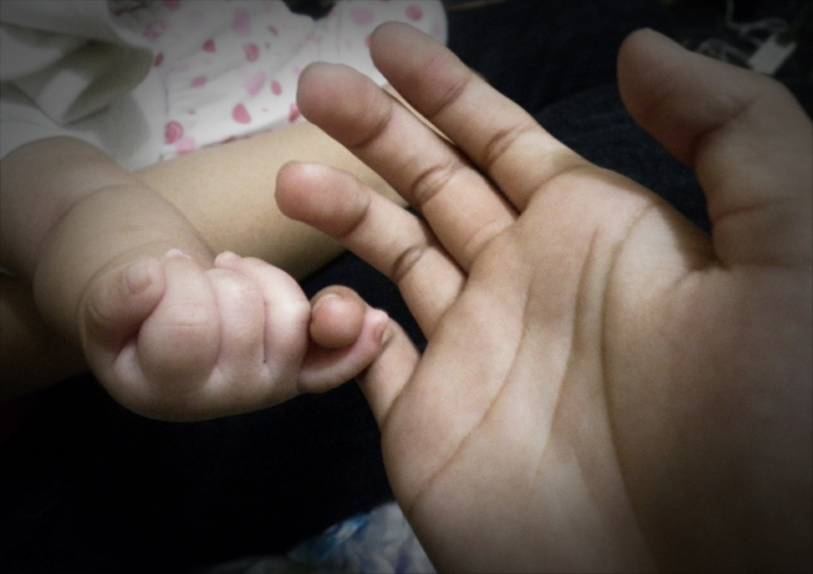 The Bible in One Year