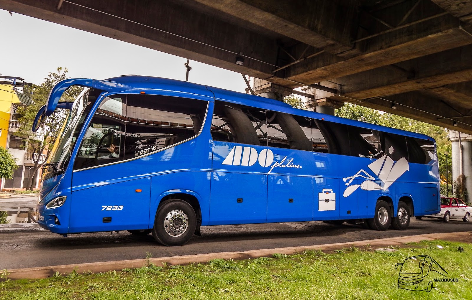 MAXIBUSES: ADO PLATINO