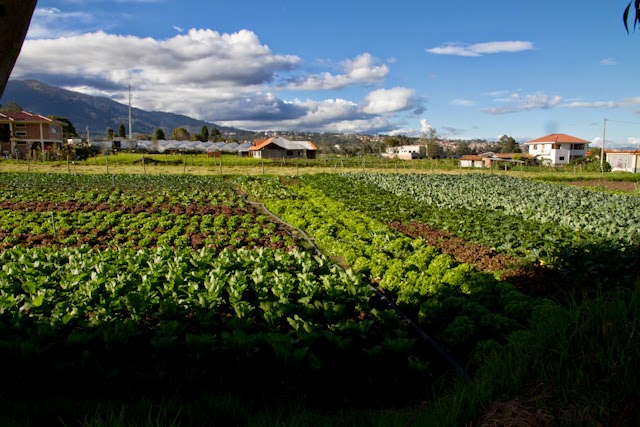 FOCUS ON ECUADOR - Our Adventure in Cuenca Ecuador Through My Lens ...