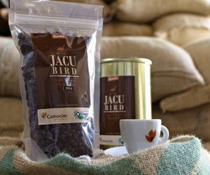 CHARUTOS & HARLEYROS: CAFÉ SUPER ESPECIAL: JACU BIRD COFFE