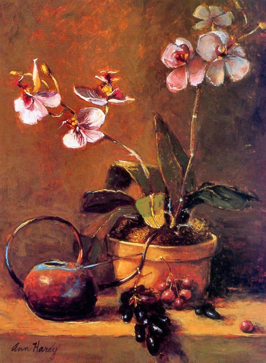 Maher Art Gallery: Anne Hardy