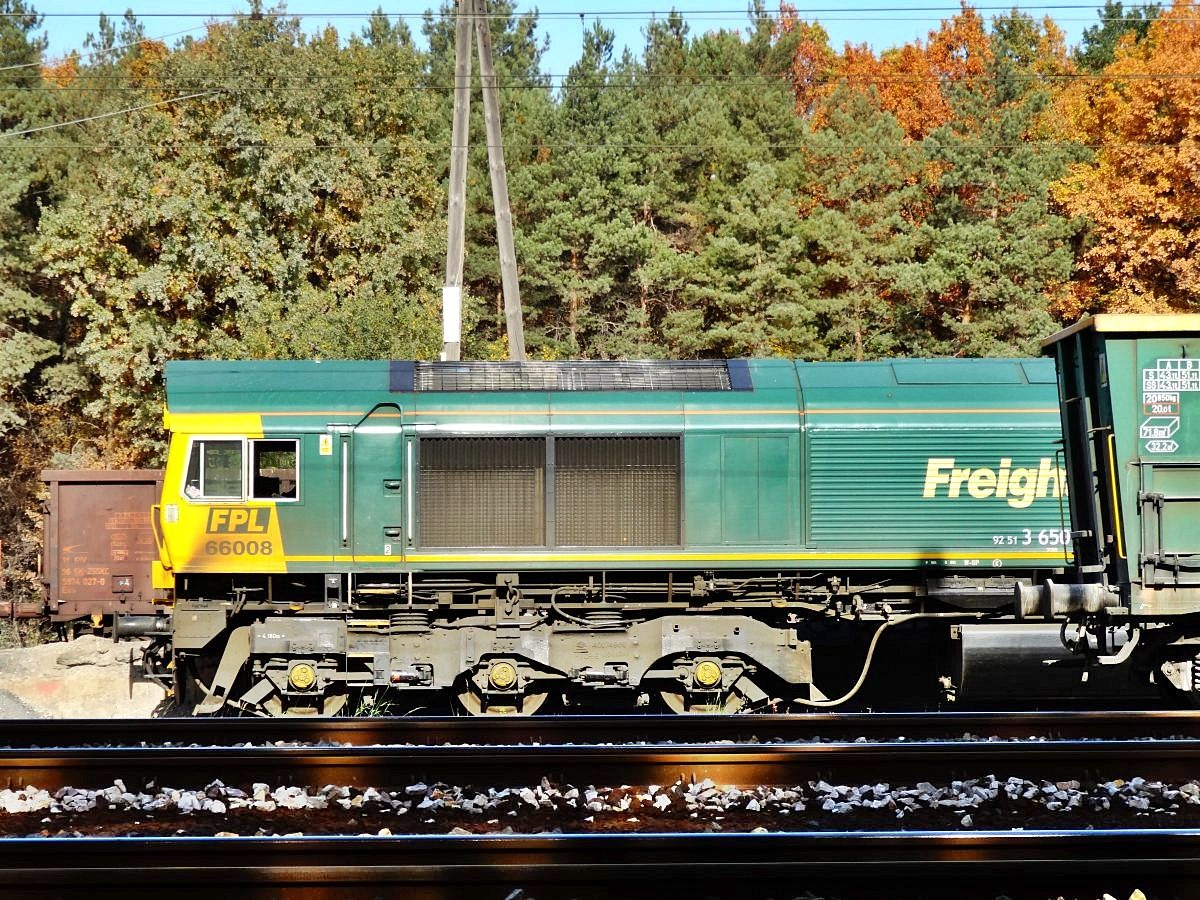 Class 66008 FPL z wagonami Eamnoss11 na towarowym Rembertowie | Torowy