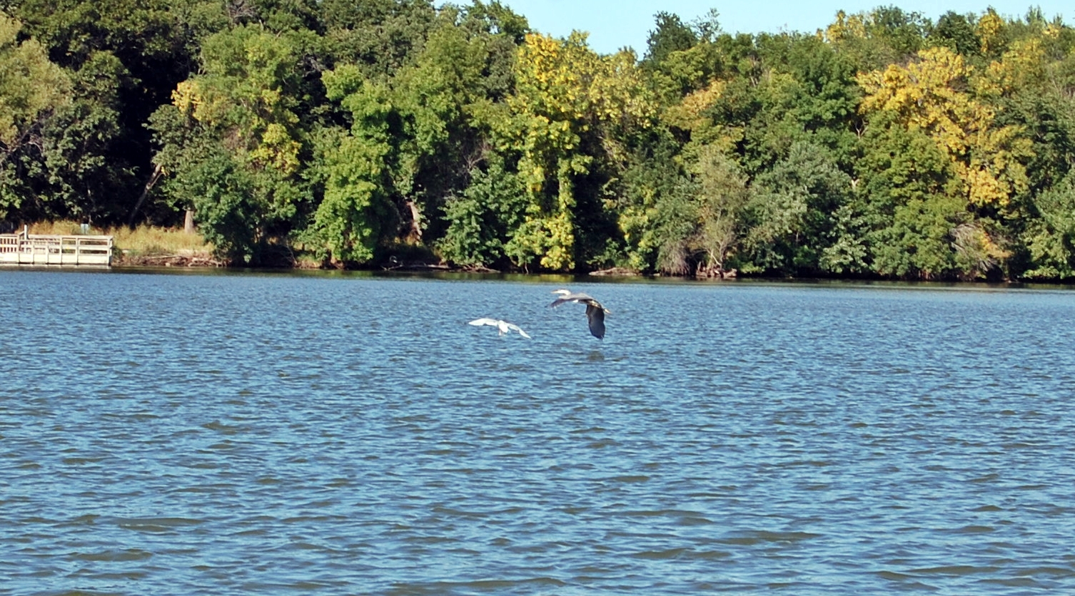 Circle Lake, Rice County, MN