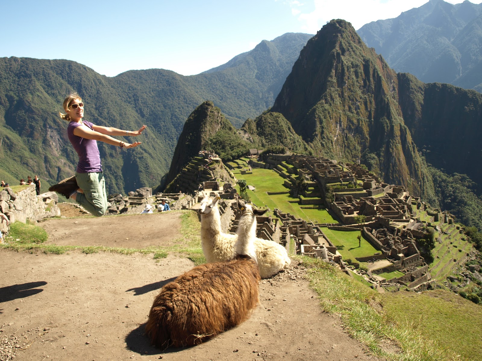 JUMPING PICTURES: Llama Jumping!!