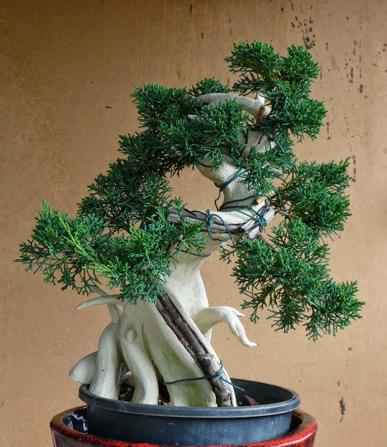Stephen Cullum's Bonsai & Pottery: Post 155 Tanuki No 4 Update