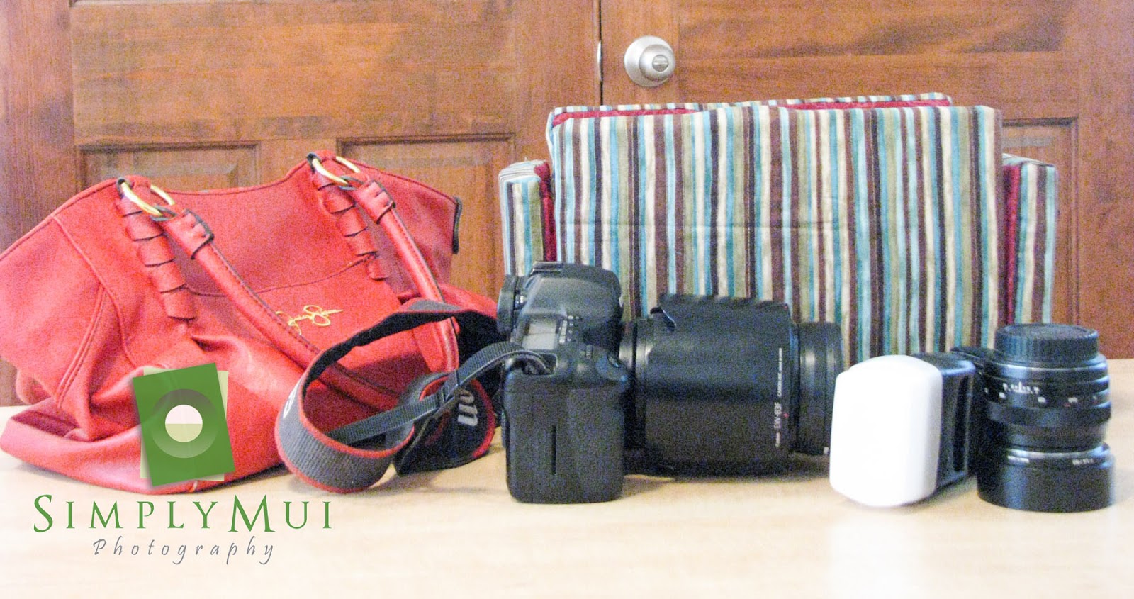 SimplyMui Photography: Camera Padding Insert: Anti-DIY