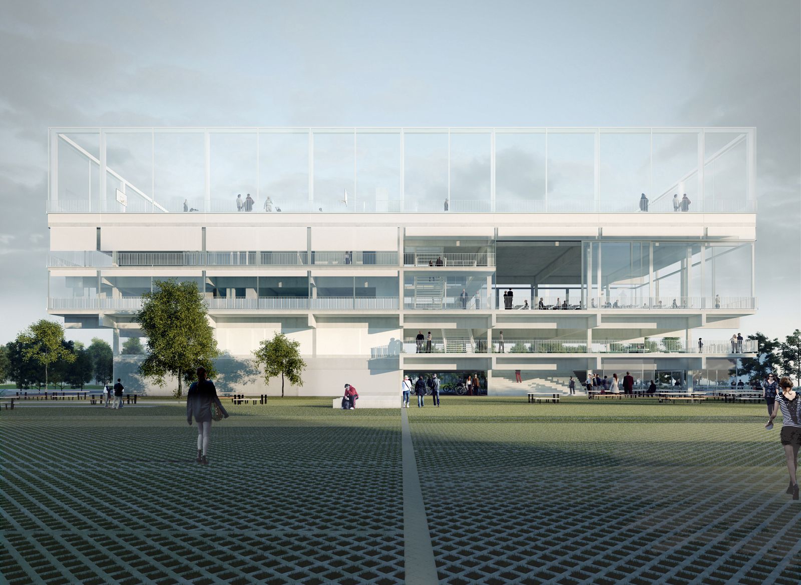 Muoto – a f a s i a