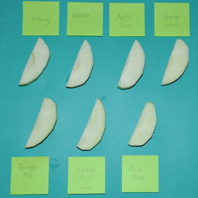 The Great Apple Browning Experiment | BentOnBetterLunches