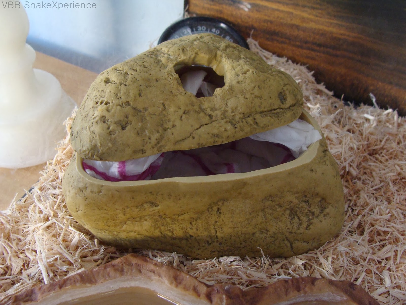 The Vietnamese Blue Beauty snake blog: How to raise humidity in a ...