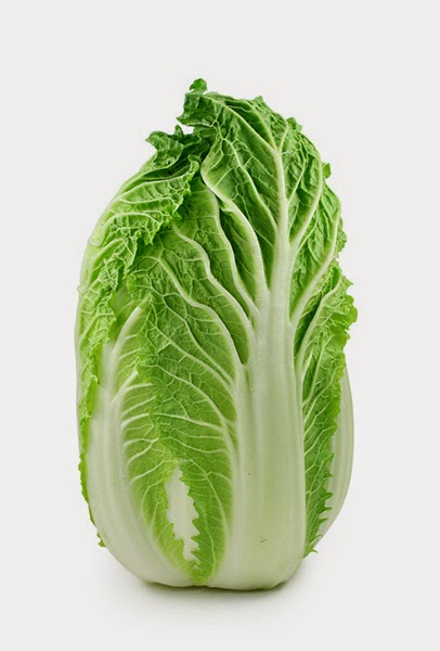 septiembre 2014 ~ Guía para plantar