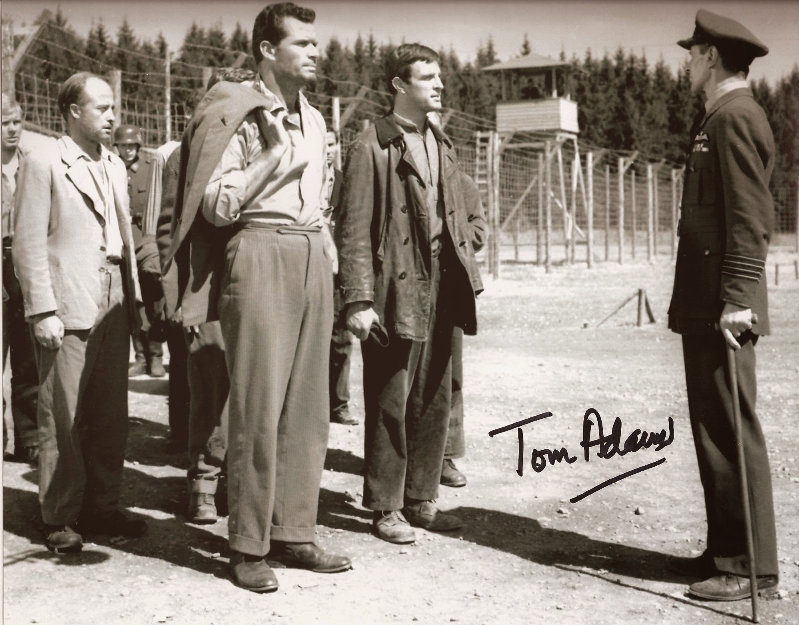 show MORE results . . . .: Tom Adams