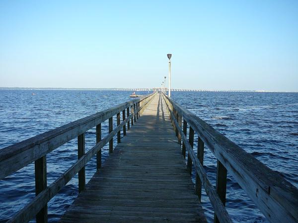 Nature Is Real: Walter Jones Historical Park