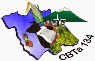 servicio social CBTa 134